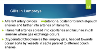 Respiration in Fish | PPTX