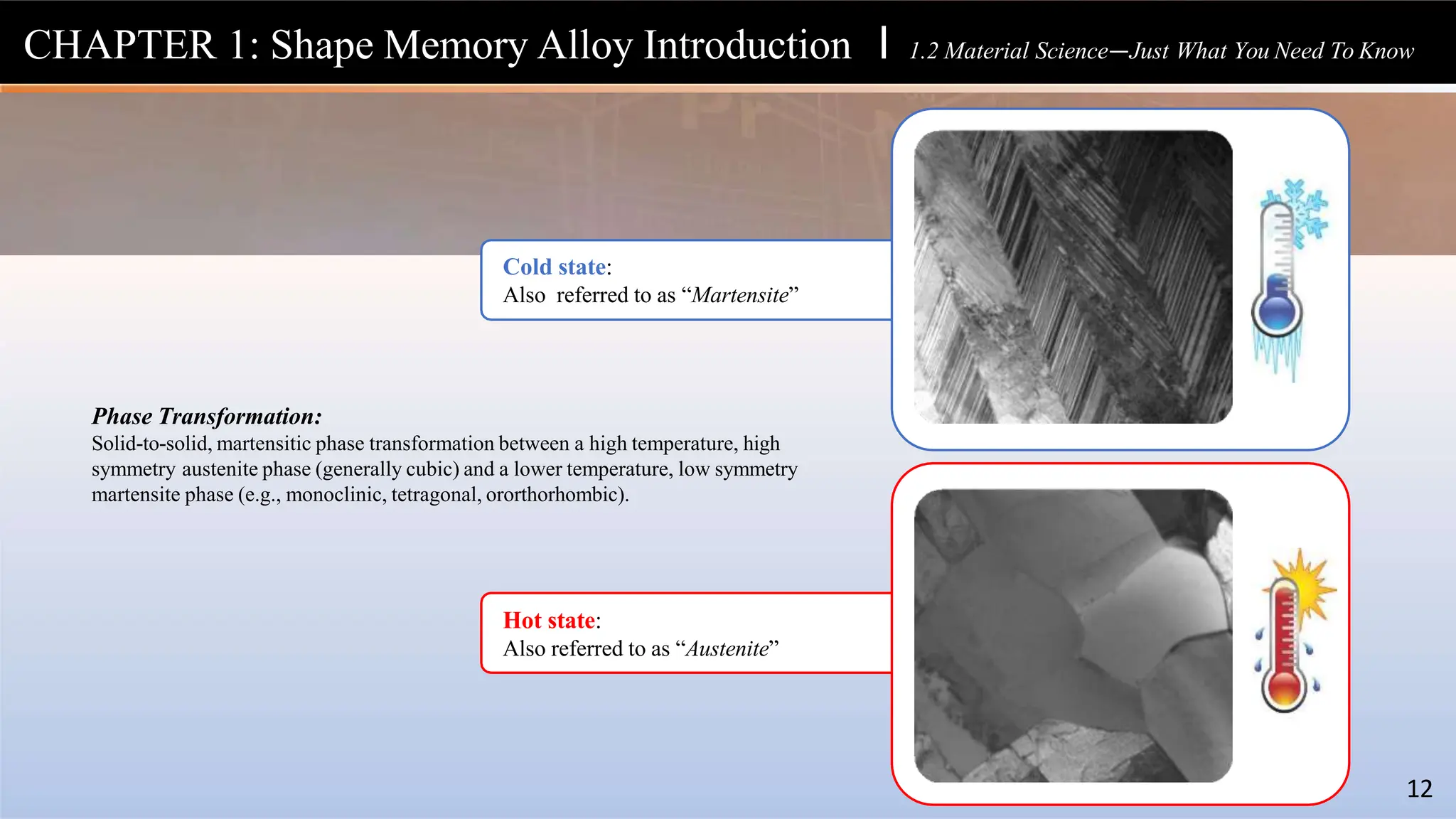 Shape-Memory-Alloys_Book_Final presentation.pptx