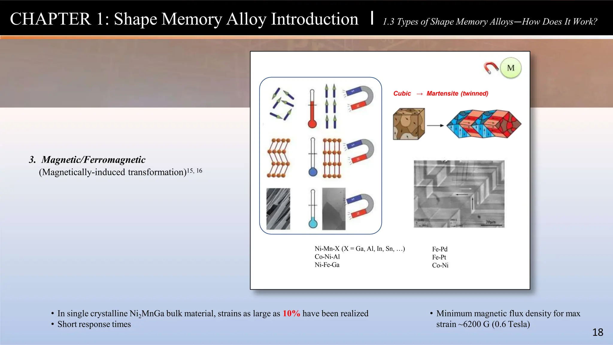 Shape-Memory-Alloys_Book_Final presentation.pptx