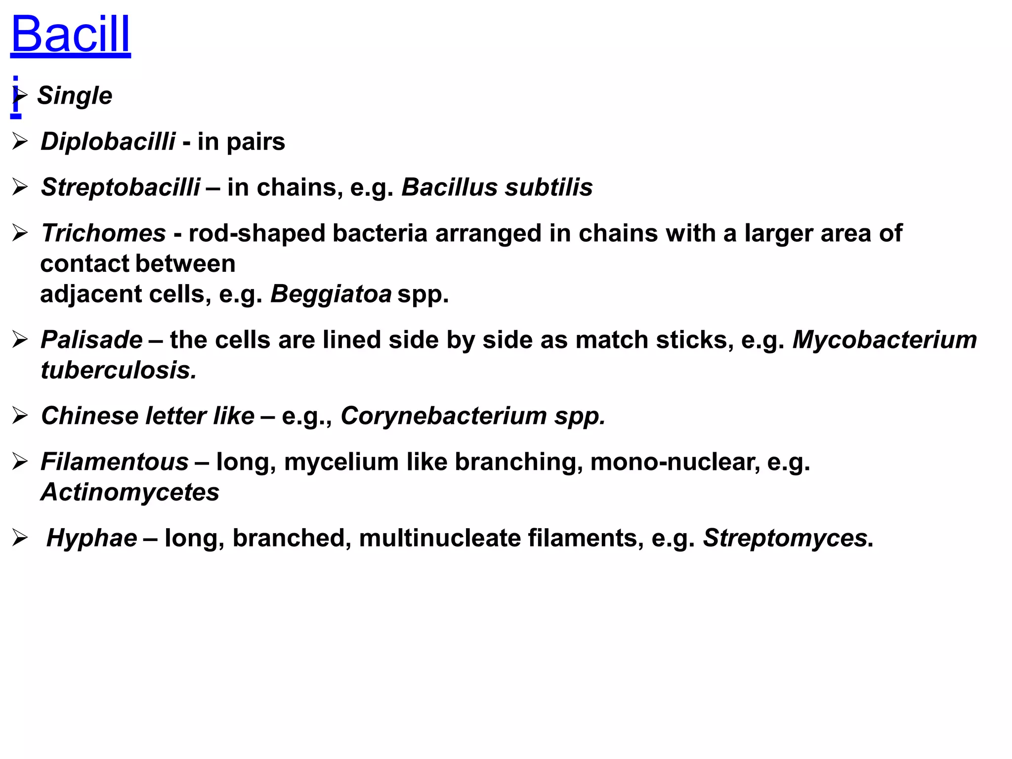 Shape-size-and-arrangment-of-bacteria.pptx