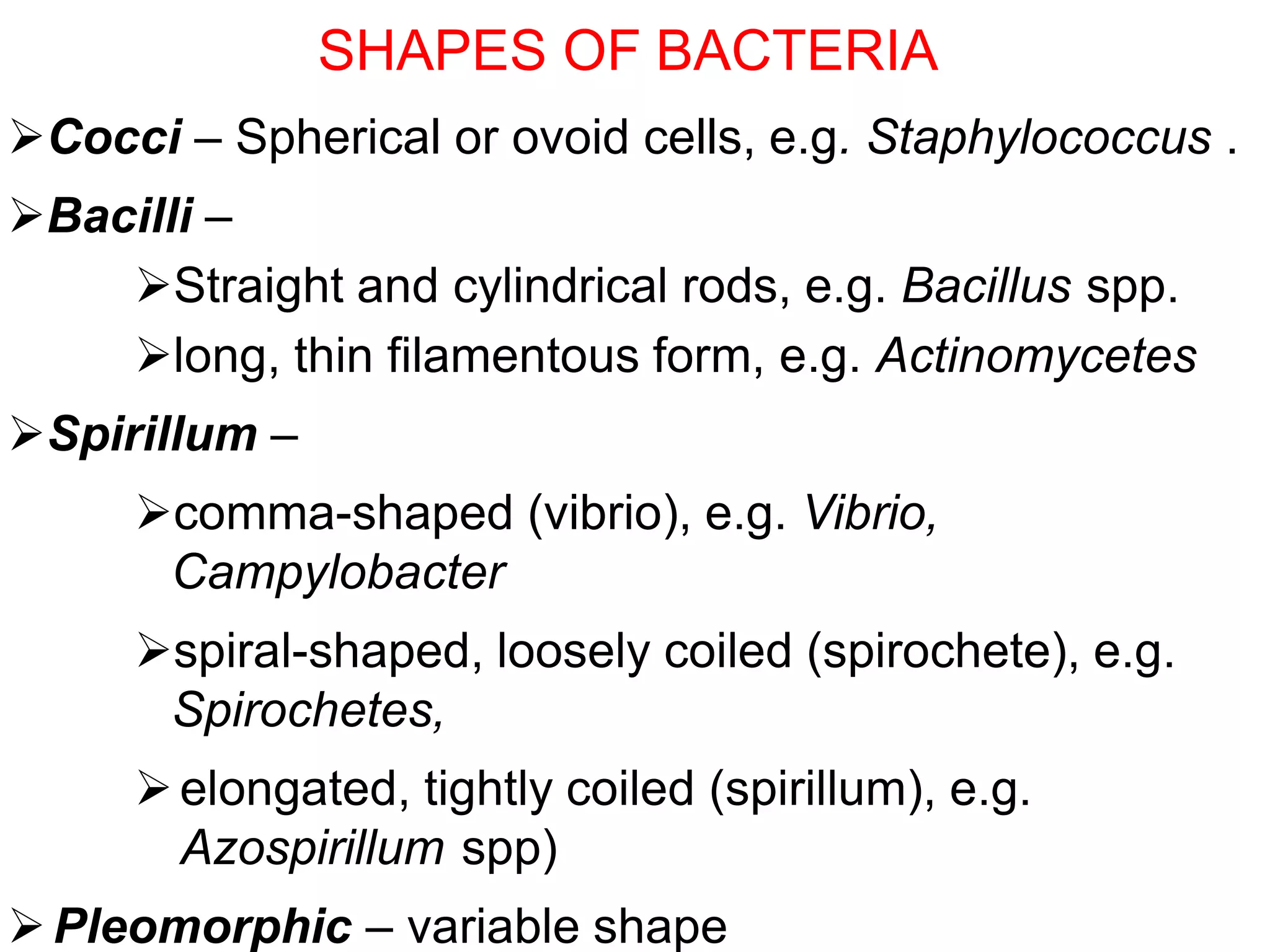 Shape-size-and-arrangment-of-bacteria.pptx