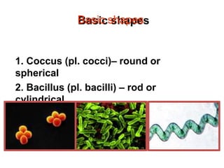 Shape-size-and-arrangment-of-bacteria.pptx