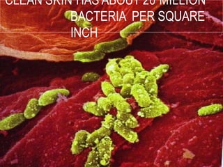 Shape-size-and-arrangment-of-bacteria.pptx
