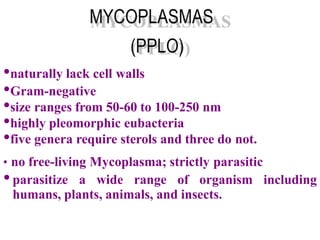 Shape-size-and-arrangment-of-bacteria.pptx