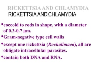 Shape-size-and-arrangment-of-bacteria.pptx