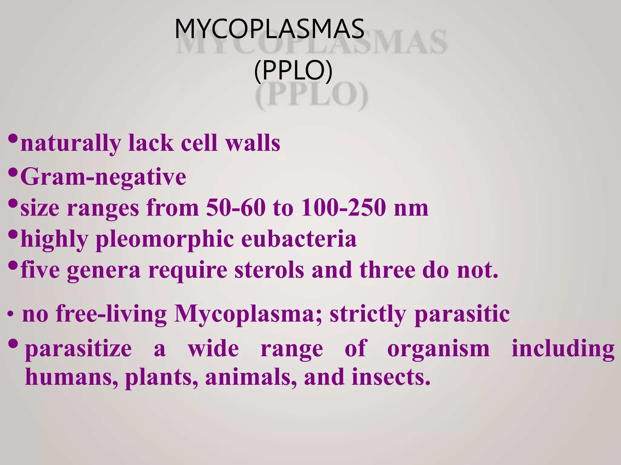 Shape-size-and-arrangement-of-bacteria | PPTX