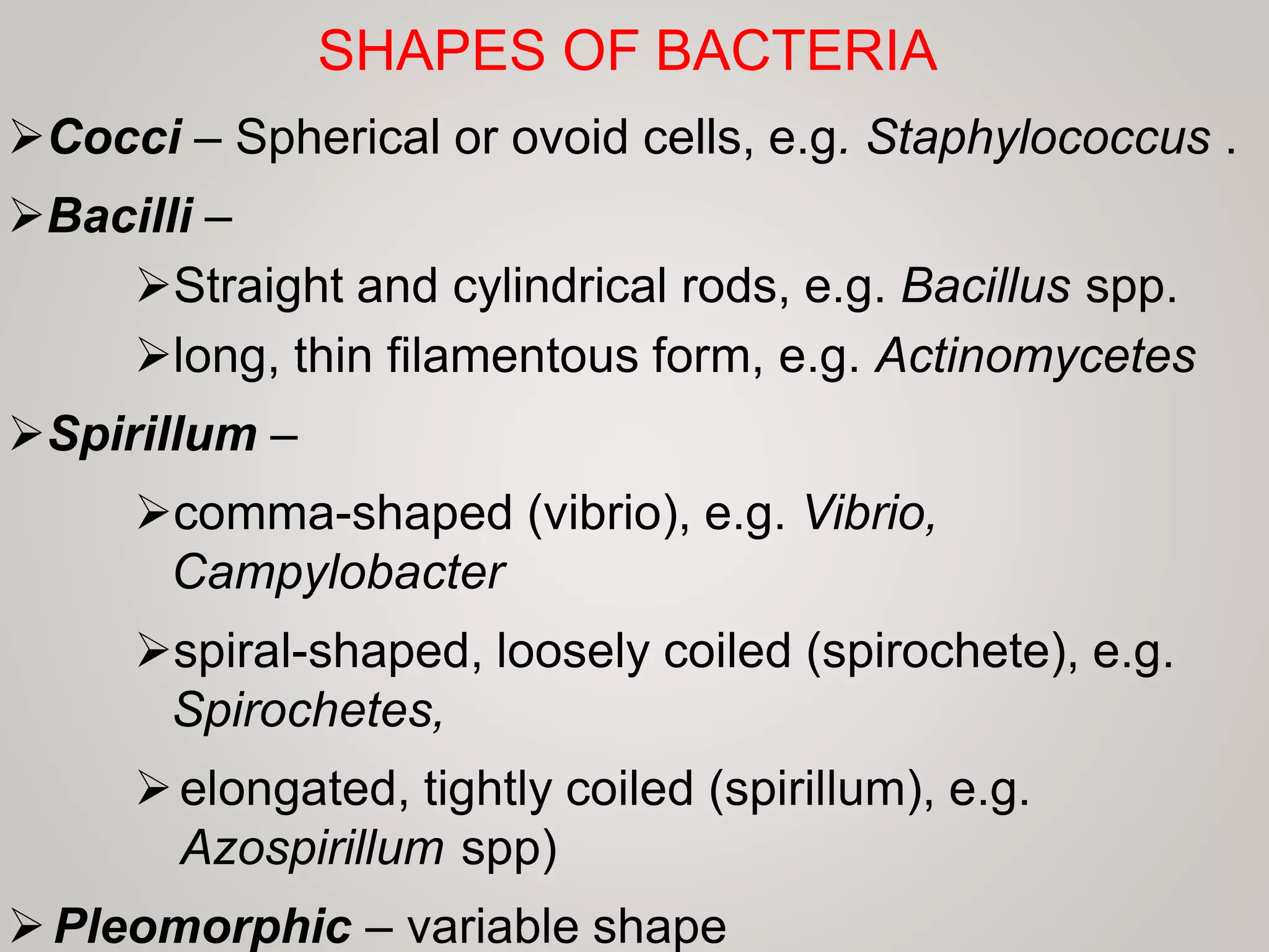 Shape-size-and-arrangement-of-bacteria | PPTX