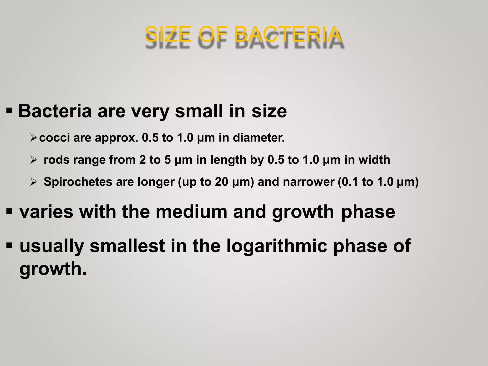 Shape-size-and-arrangement-of-bacteria | PPTX