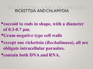 Shape-size-and-arrangement-of-bacteria | PPTX