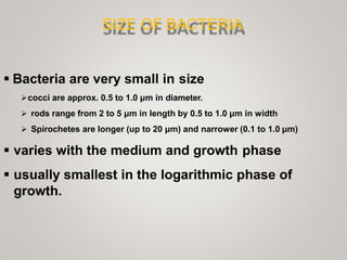 Shape-size-and-arrangement-of-bacteria | PPTX