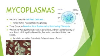 Shape of Bacteria - Cellular Arrangement | PPTX