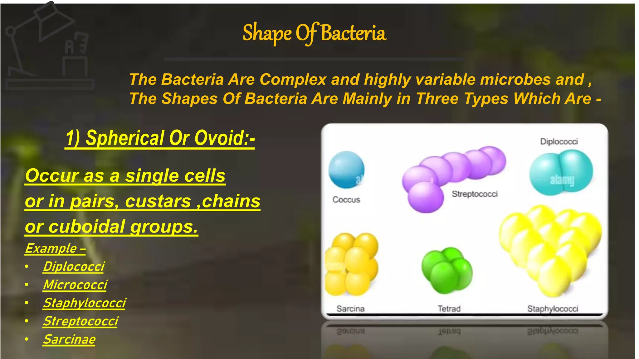Shape of Bacteria Arrangements of bacterial cell wall & Flagella. | PPTX