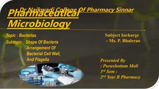 Shape of Bacteria Arrangements of bacterial cell wall & Flagella. | PPTX