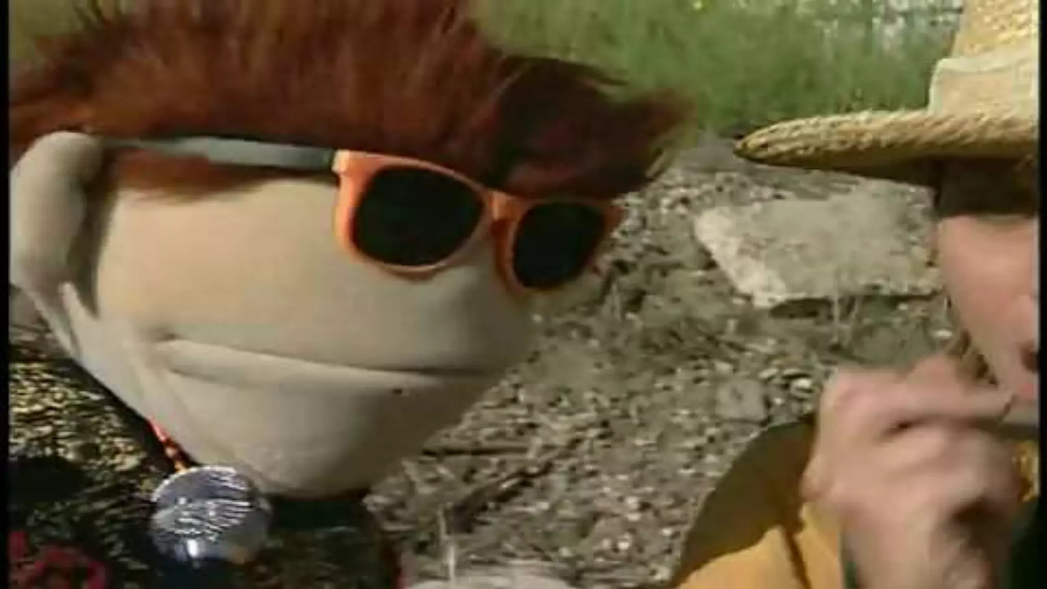 Music Instruments & Shapes | PPT