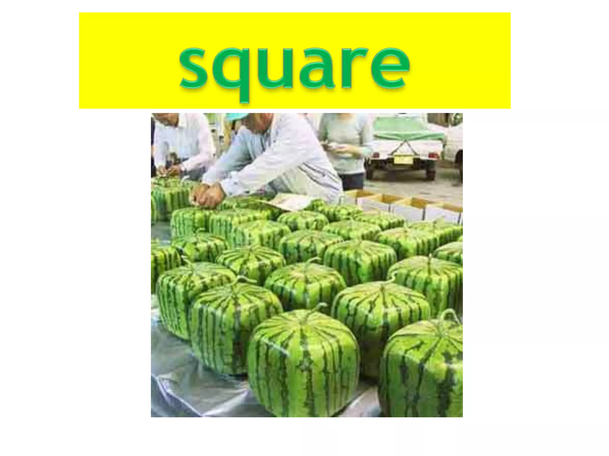 Basic shapes - English for kids | PPTX