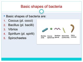 Shapes and Arrangements of bacteria.pptx