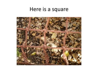 Shapes around our school | PPTX