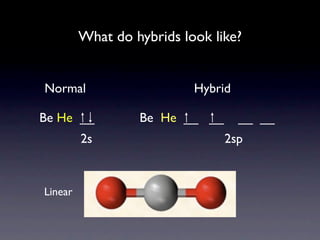 Molecular Shapes & Hybridization | ZIP