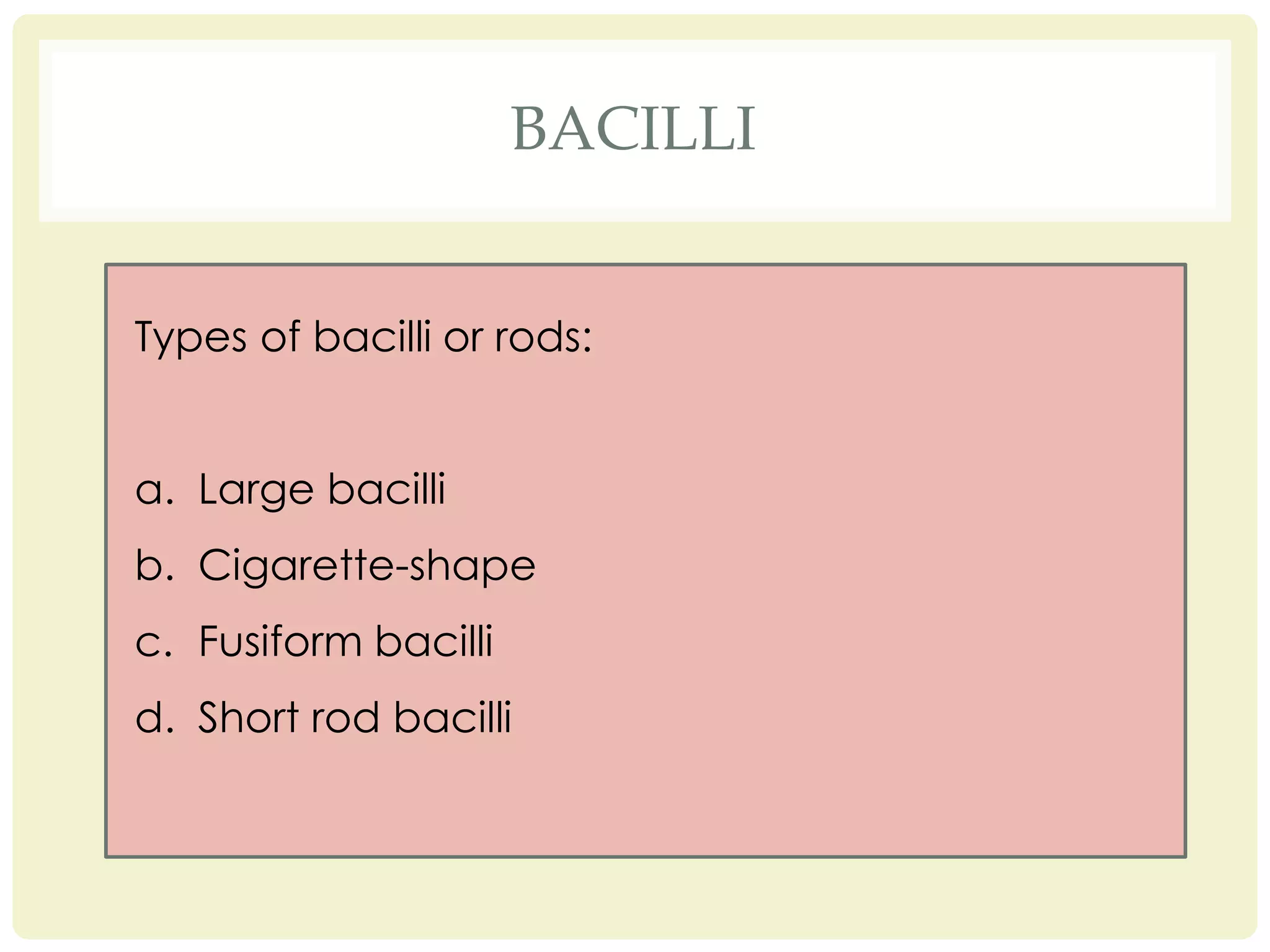 Shapes of bacteria | PPTX