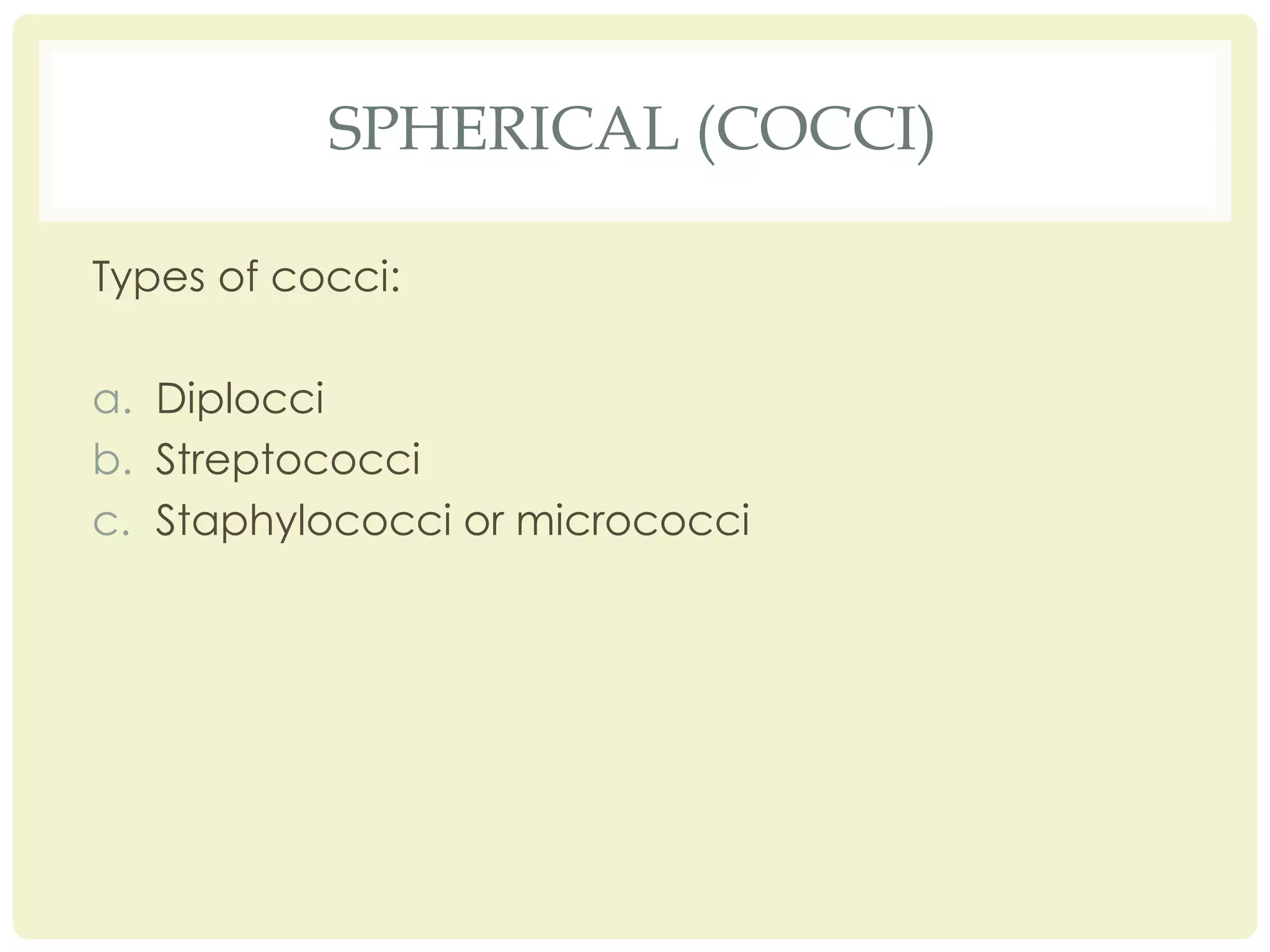 Shapes of bacteria | PPTX