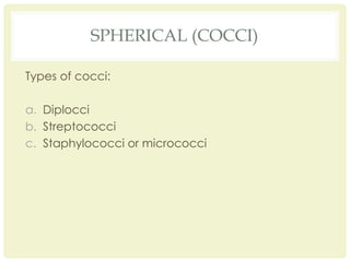 Shapes of bacteria | PPTX