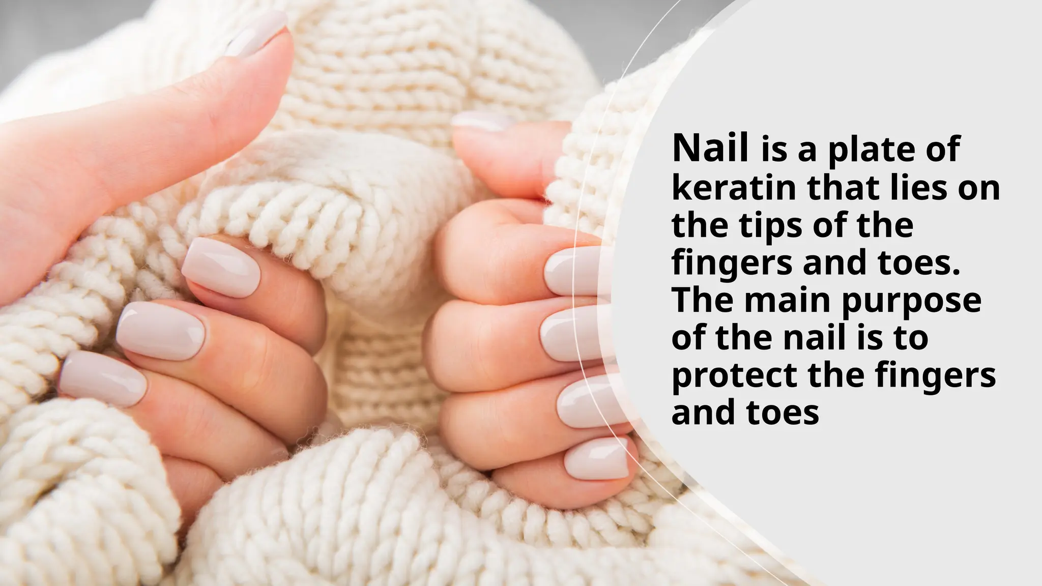 Shapes of Nail ppt.pptx secondary high school. | PPTX