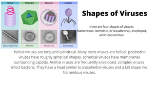 Shapes Of Viruses