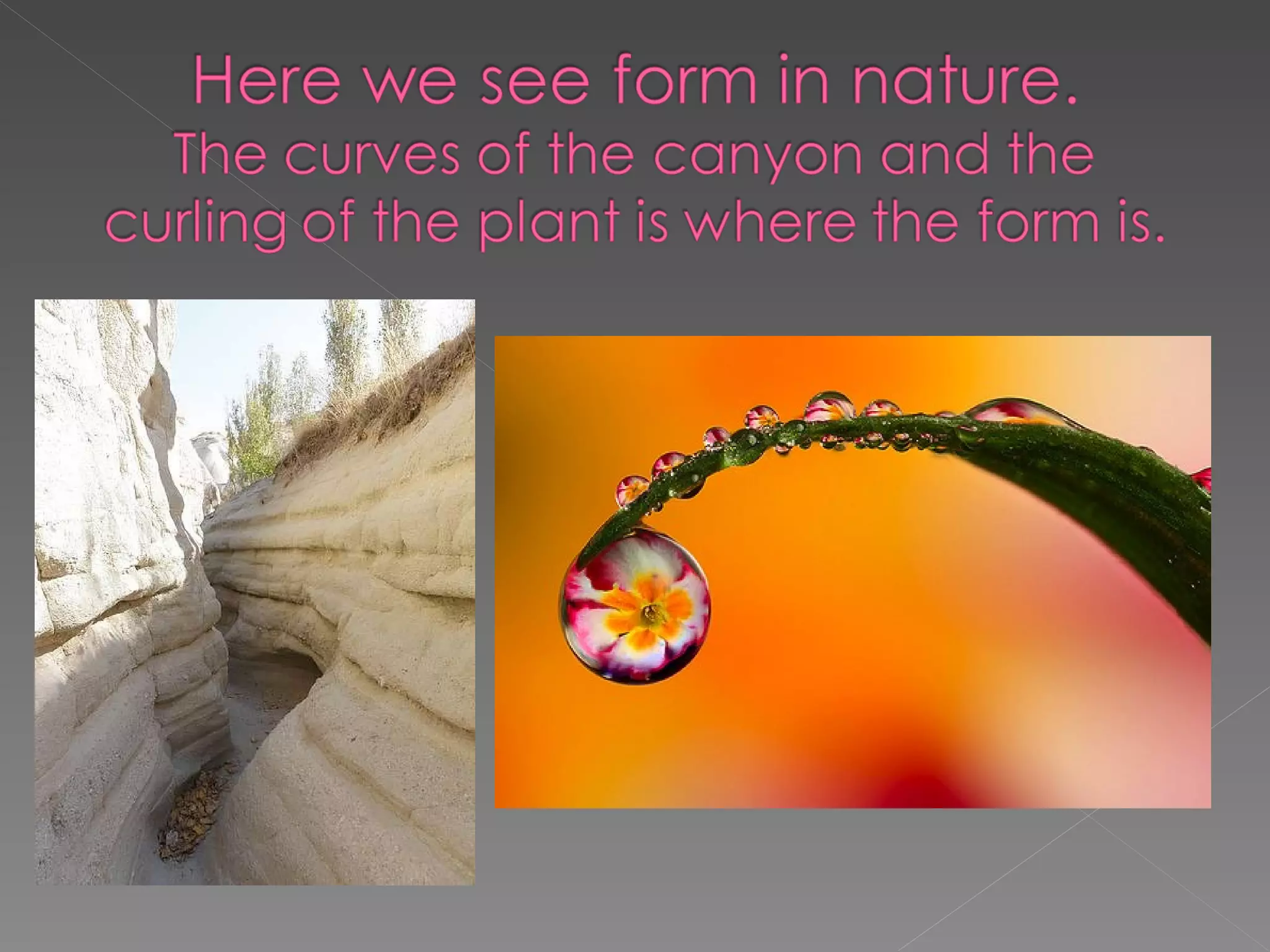 Shape, space and form | PPT