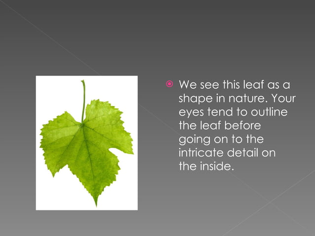 Shape, space and form | PPT