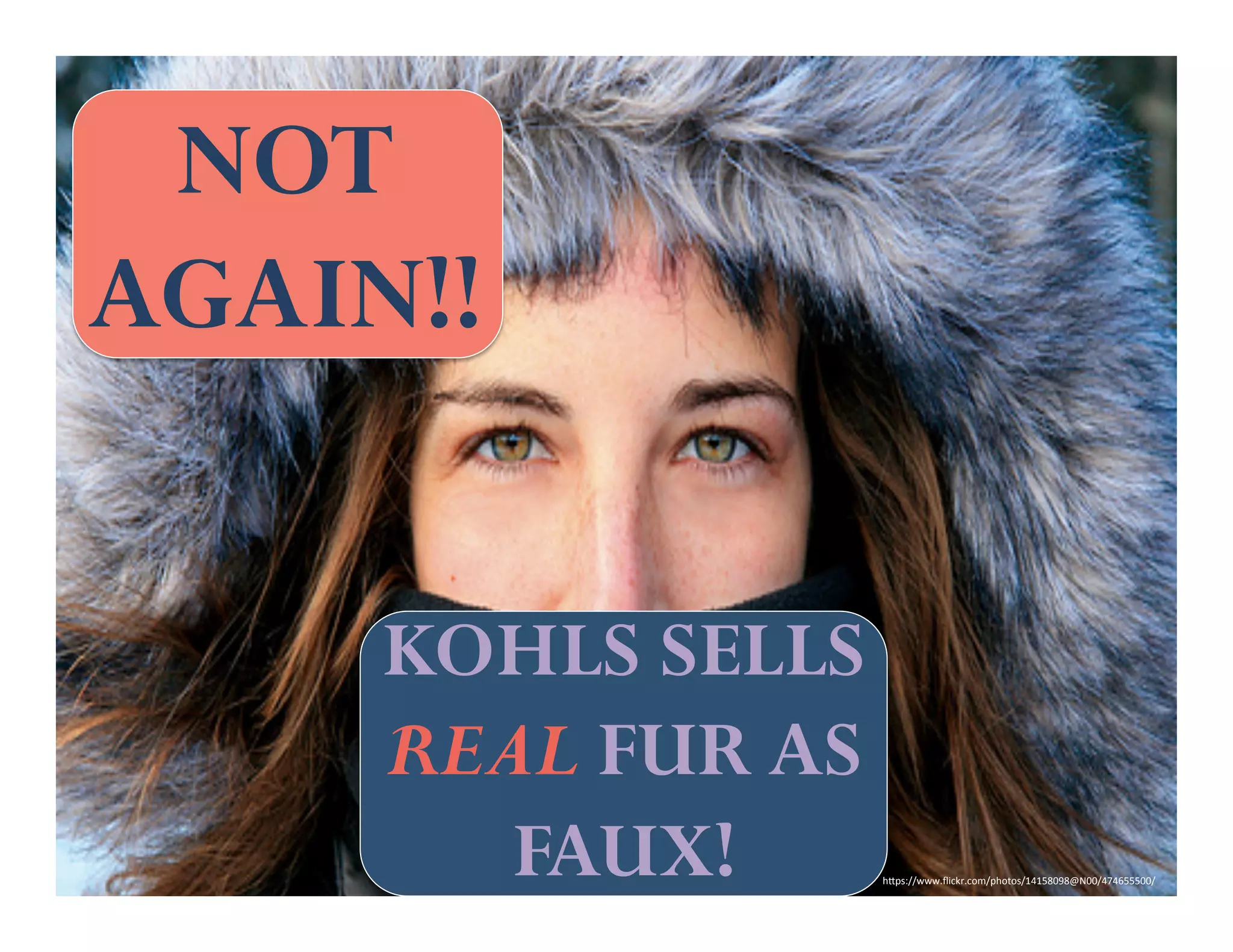 Stephanie Shapiro 4.4 PPP | PDF