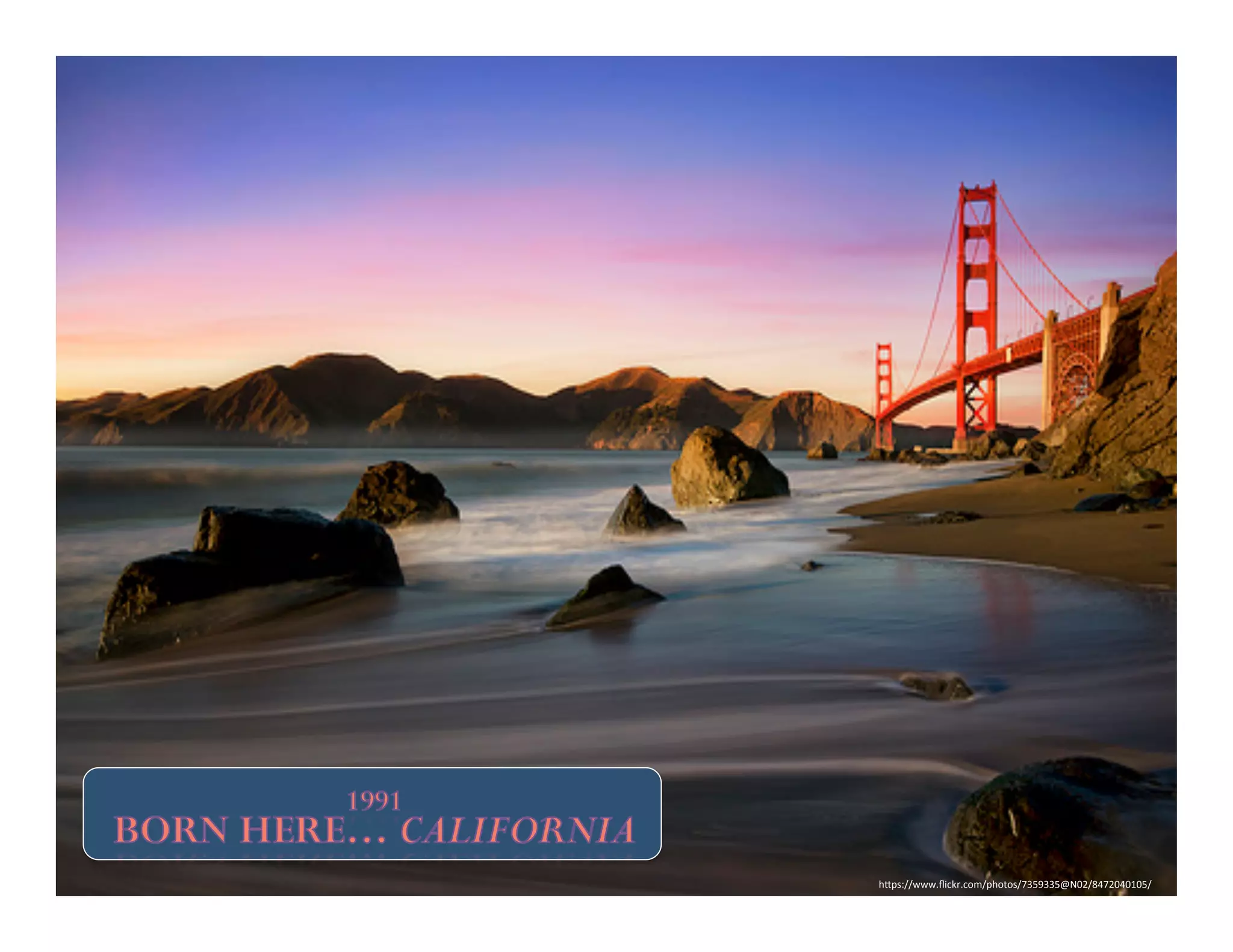 Stephanie Shapiro 4.4 PPP | PDF