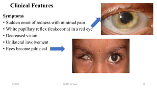 Shapu in nepal | PPTX