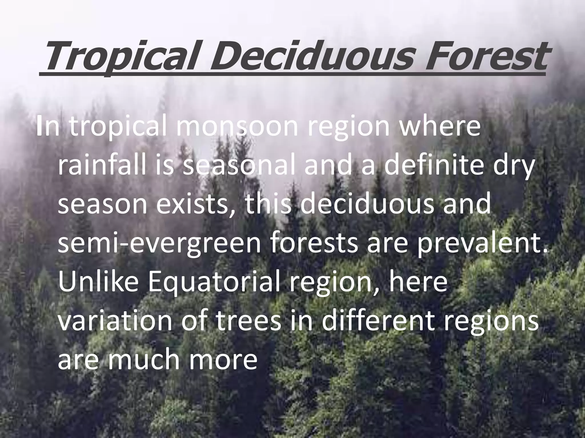 types of forest | PPTX