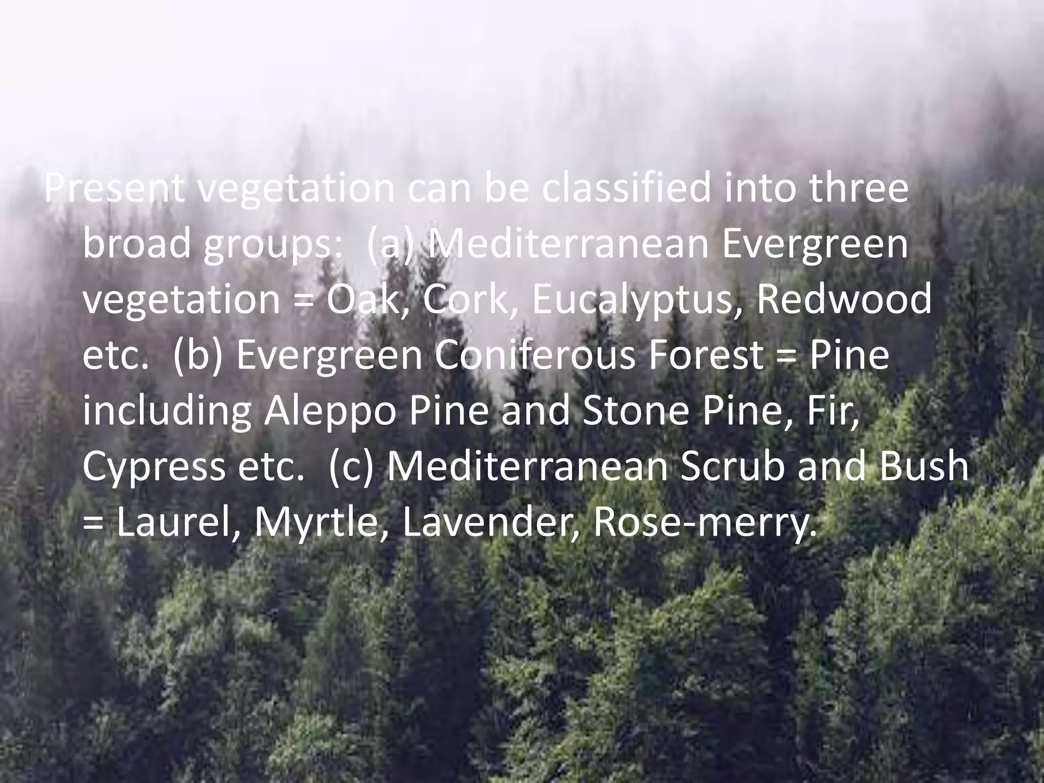 types of forest | PPTX