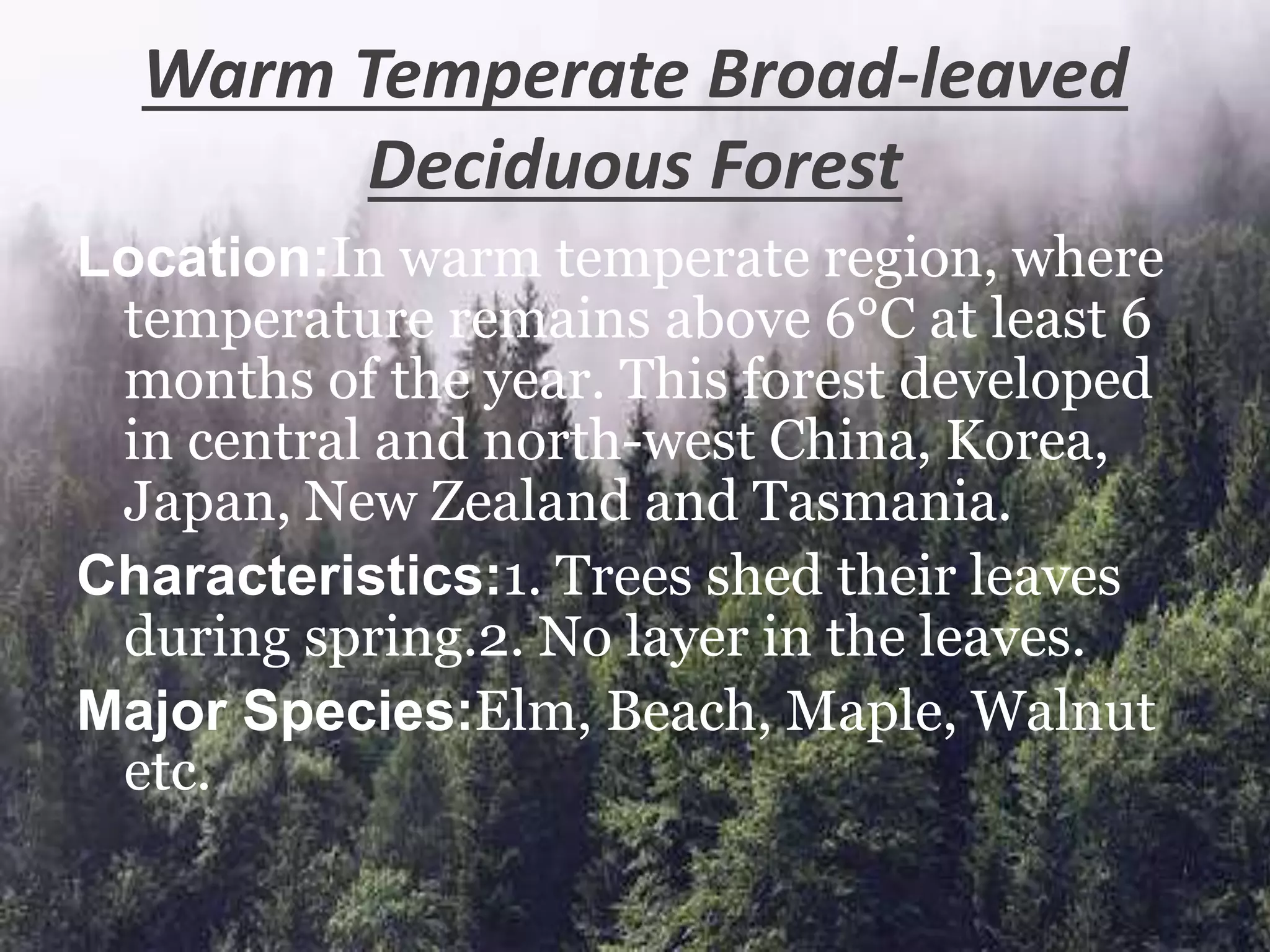 types of forest | PPTX