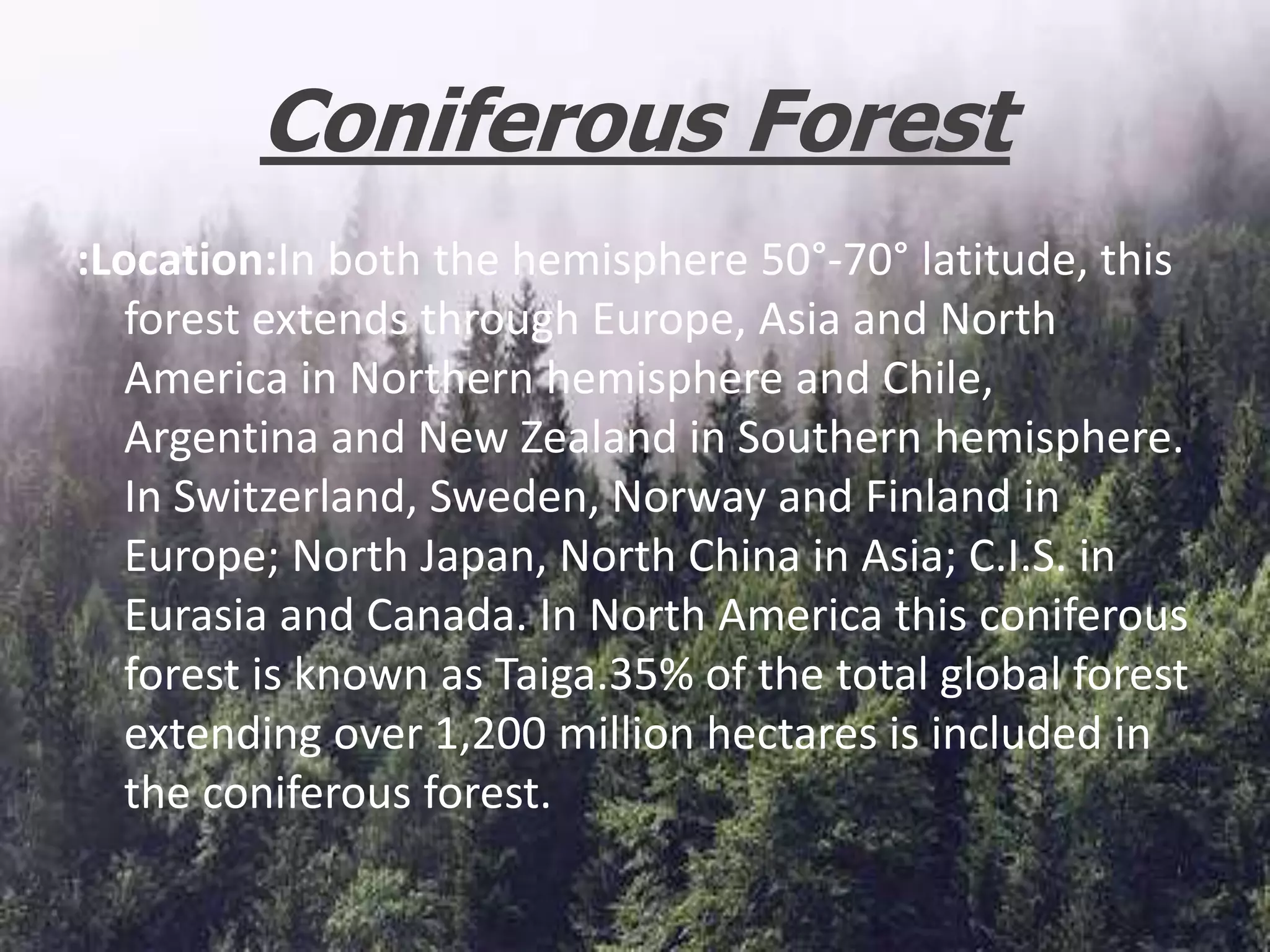 types of forest | PPTX