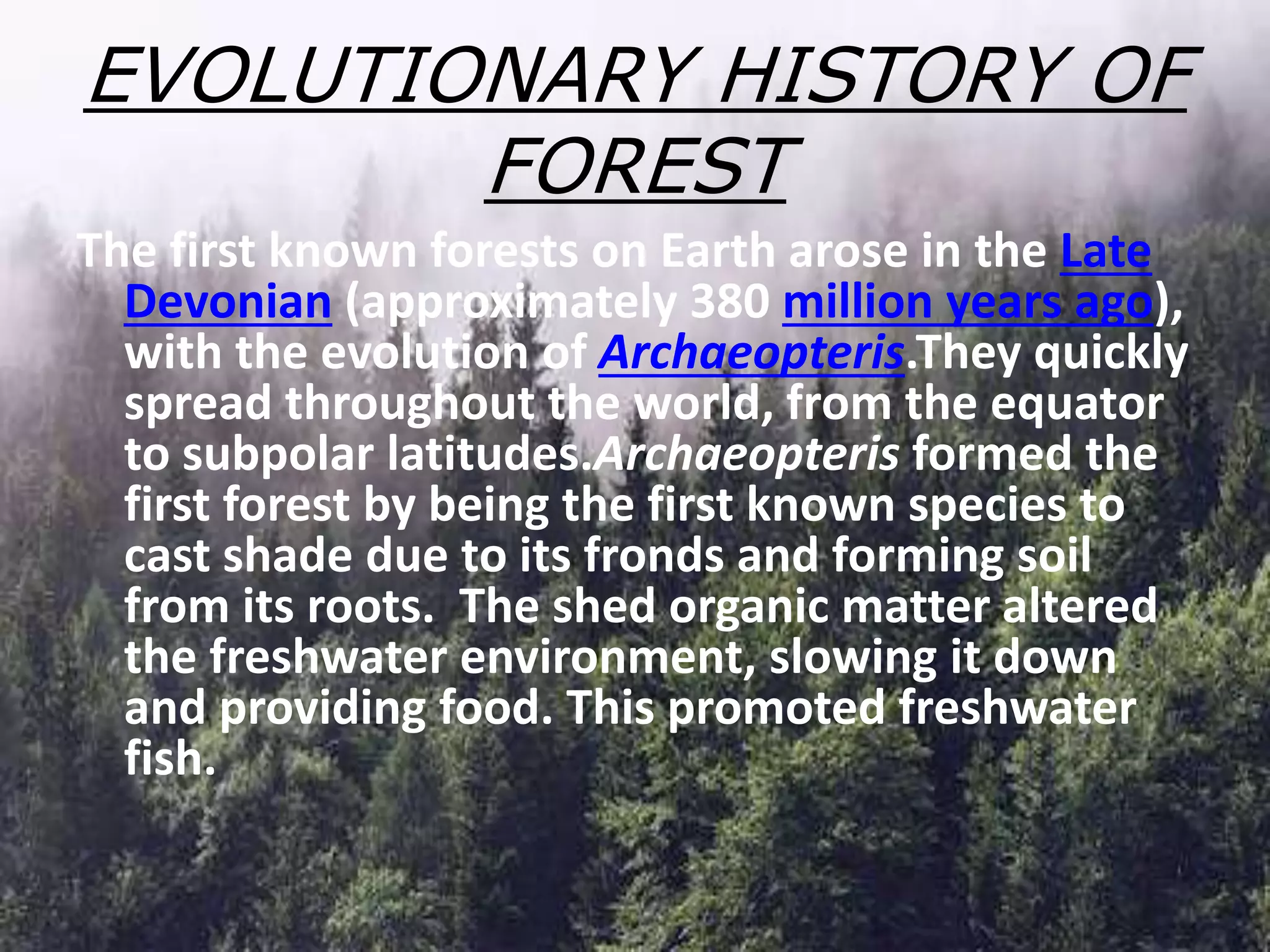 types of forest | PPTX