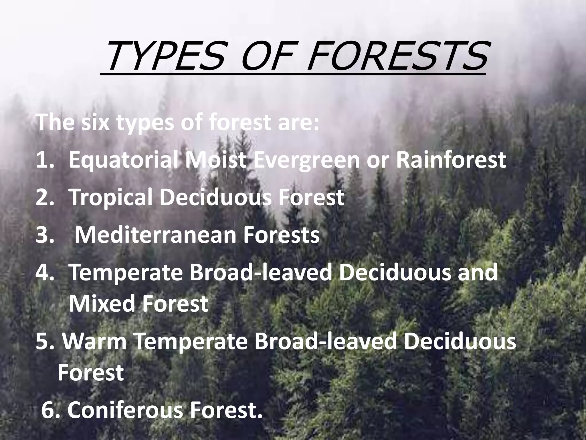 types of forest | PPTX