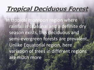 types of forest | PPTX