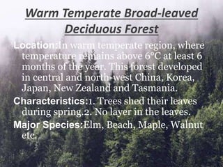 types of forest | PPTX