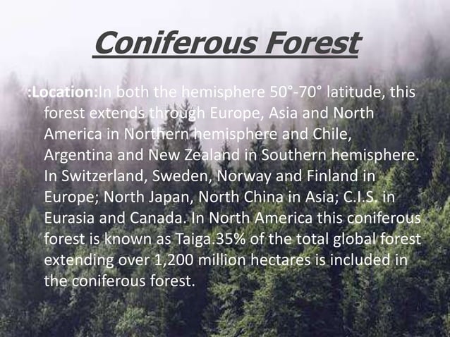 types of forest | PPTX | Geography | Science