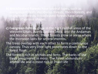 types of forest | PPTX