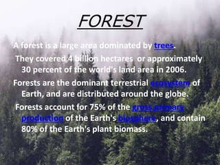 types of forest | PPTX