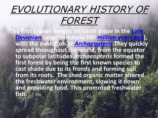 types of forest | PPTX