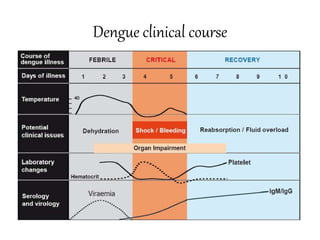 Dengue fever/ Dengue hemorrhagic fever/ Dengue shock syndromme seminar ...