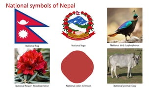 Festivals of Nepal.pptx