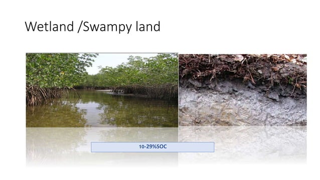 SPATIAL VARIABILITY OF SOIL ORGANIC CARBON IN DIFFERENT LAND USE SYSTEM USING GIS AND REMOTE ...