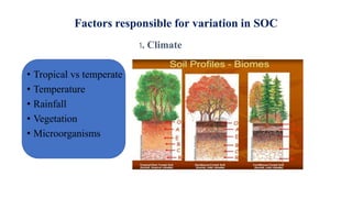 SPATIAL VARIABILITY OF SOIL ORGANIC CARBON IN DIFFERENT LAND USE SYSTEM USING GIS AND REMOTE ...