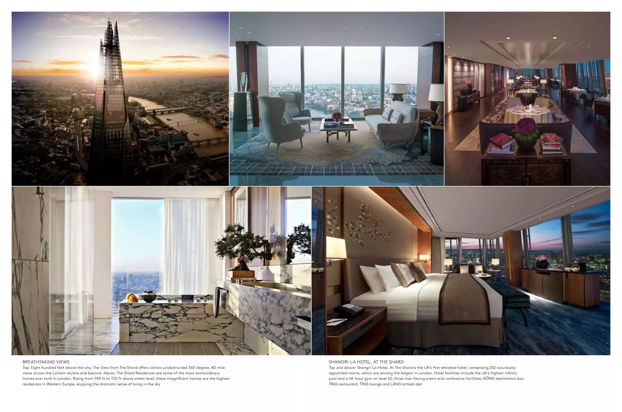 Shard Brochure | PDF