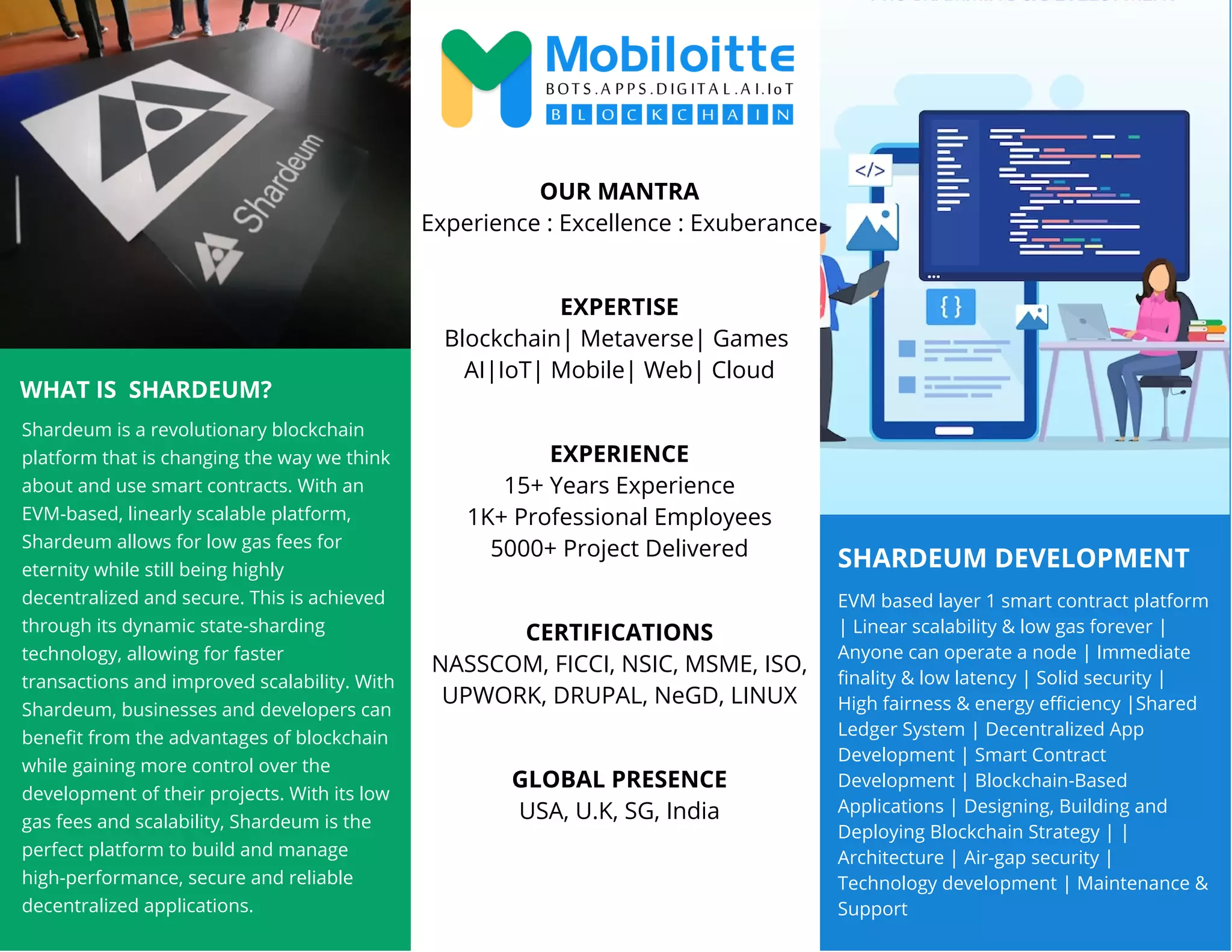 Shardeum Development Solutions | PDF